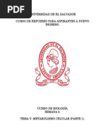 Ciclosis y Procesos Celulares Esenciales | PDF | Fotosíntesis ...