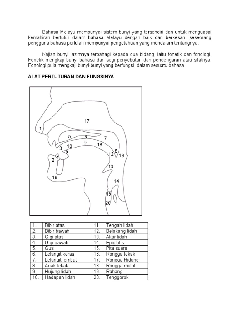 Jenis Artikulasi PDF