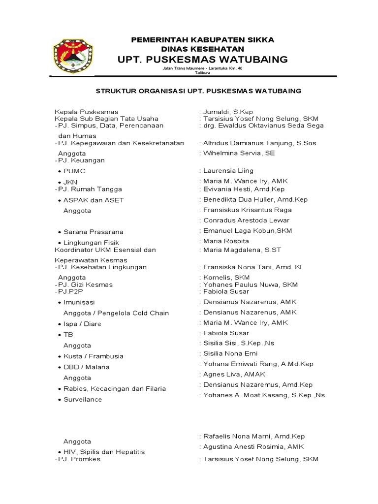Struktur Organisasi Upt Puskesmas Watubaing | PDF