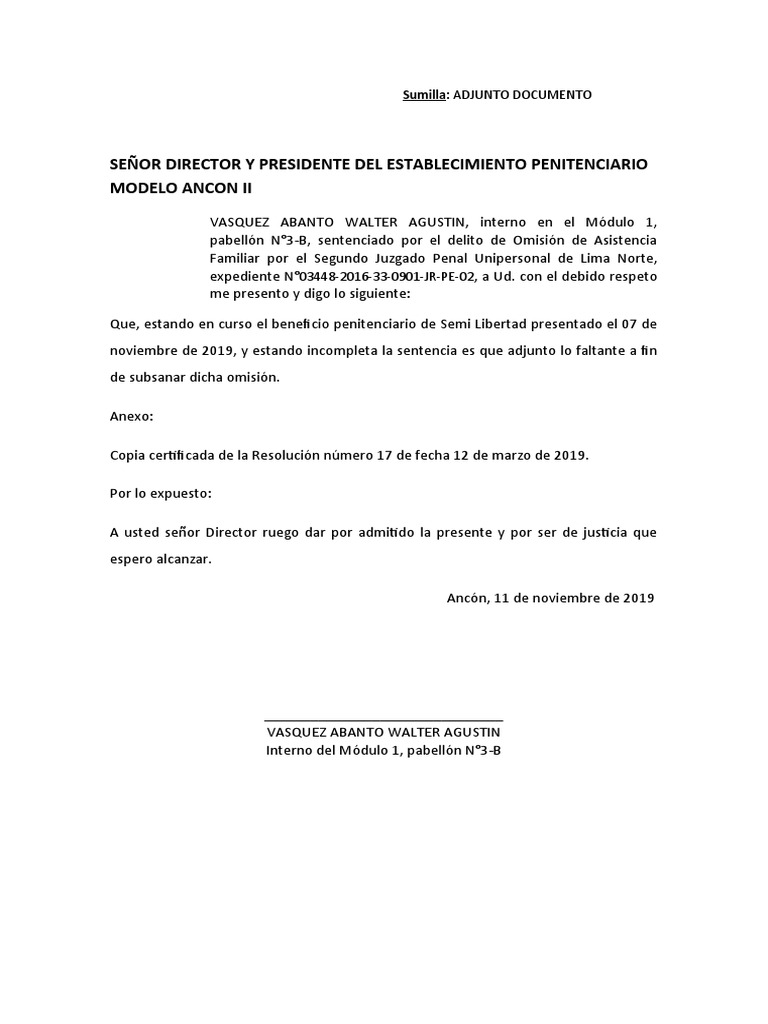 Adjunto Documento | PDF