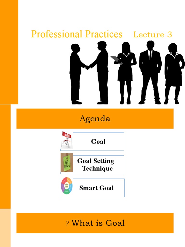 Professional Practices | PDF | Goal Setting | Goal