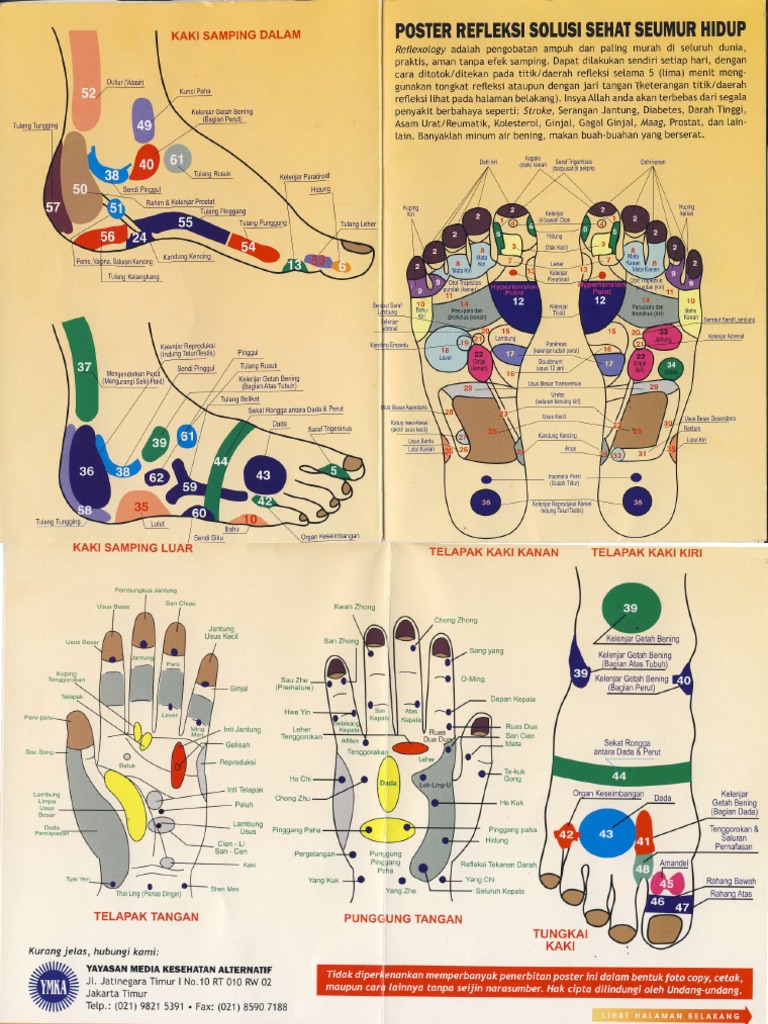 Panduan Pijat Refleksi Kaki dan Tangan | PDF
