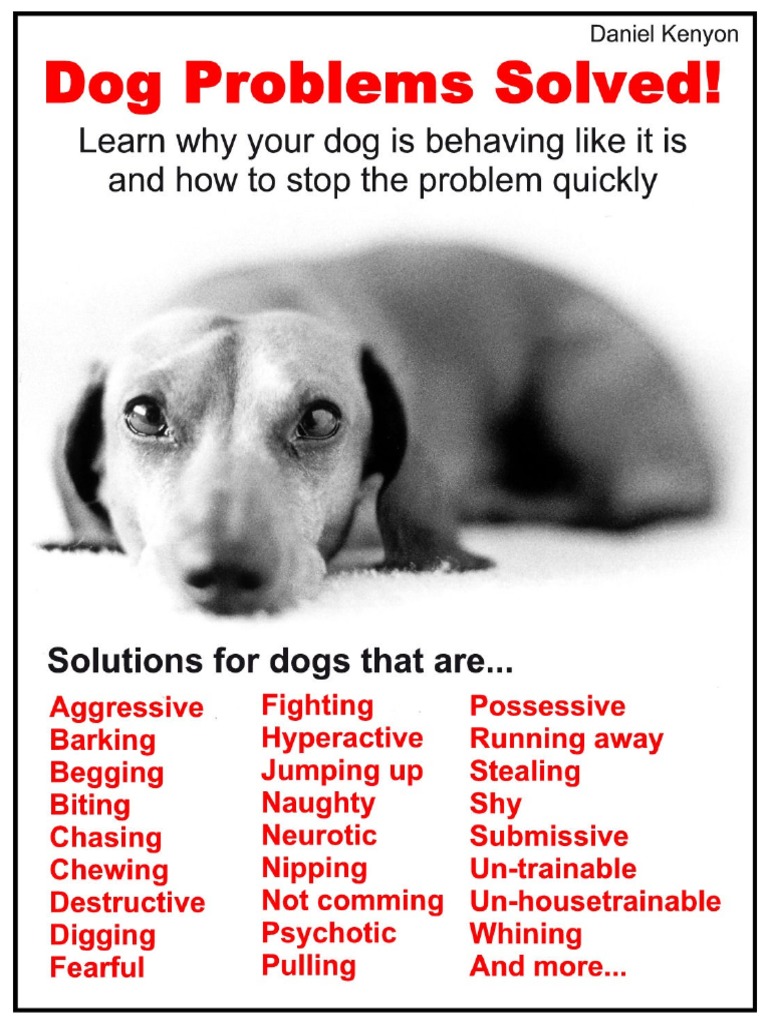 Dog Problems Solved | PDF | Dog Training | Animal Training