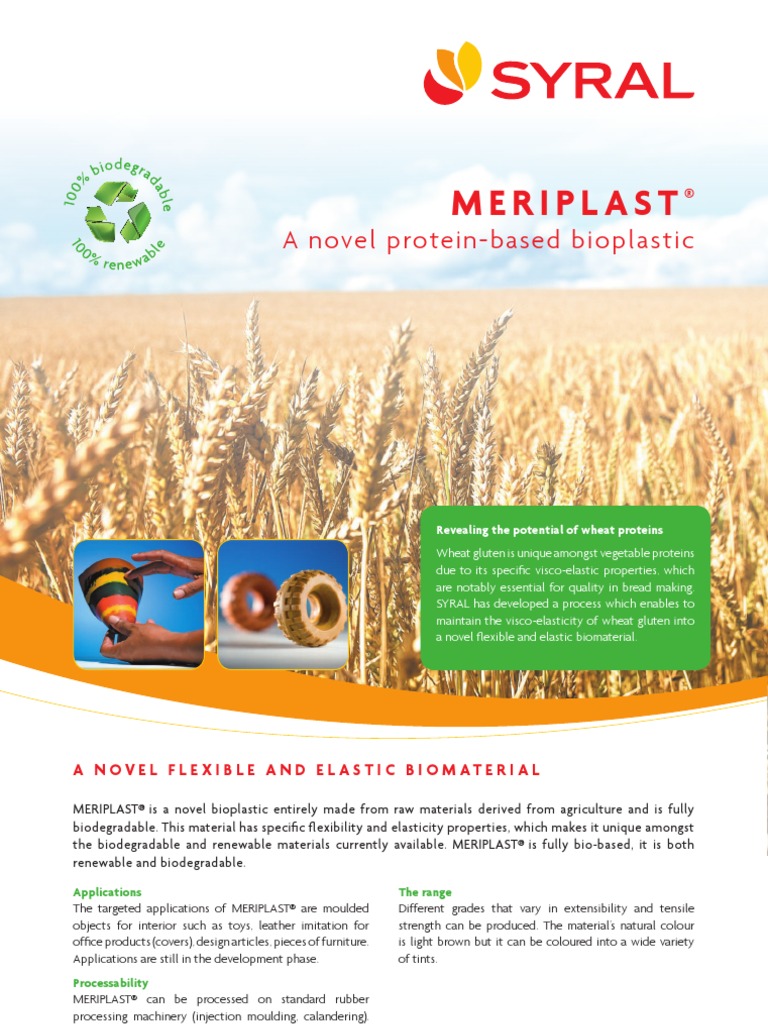 Syral Meriplast BD PPP | PDF | Viscoelasticity | Building Engineering