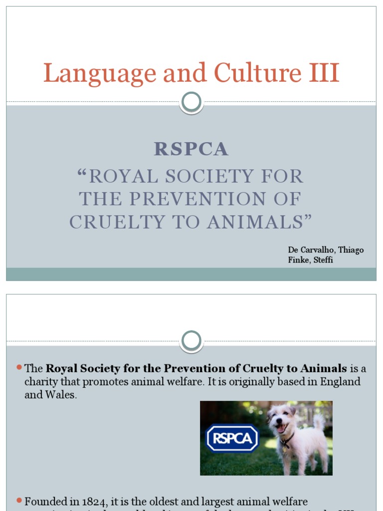 RSPCA | PDF | Animal Welfare | Cruelty To Animals