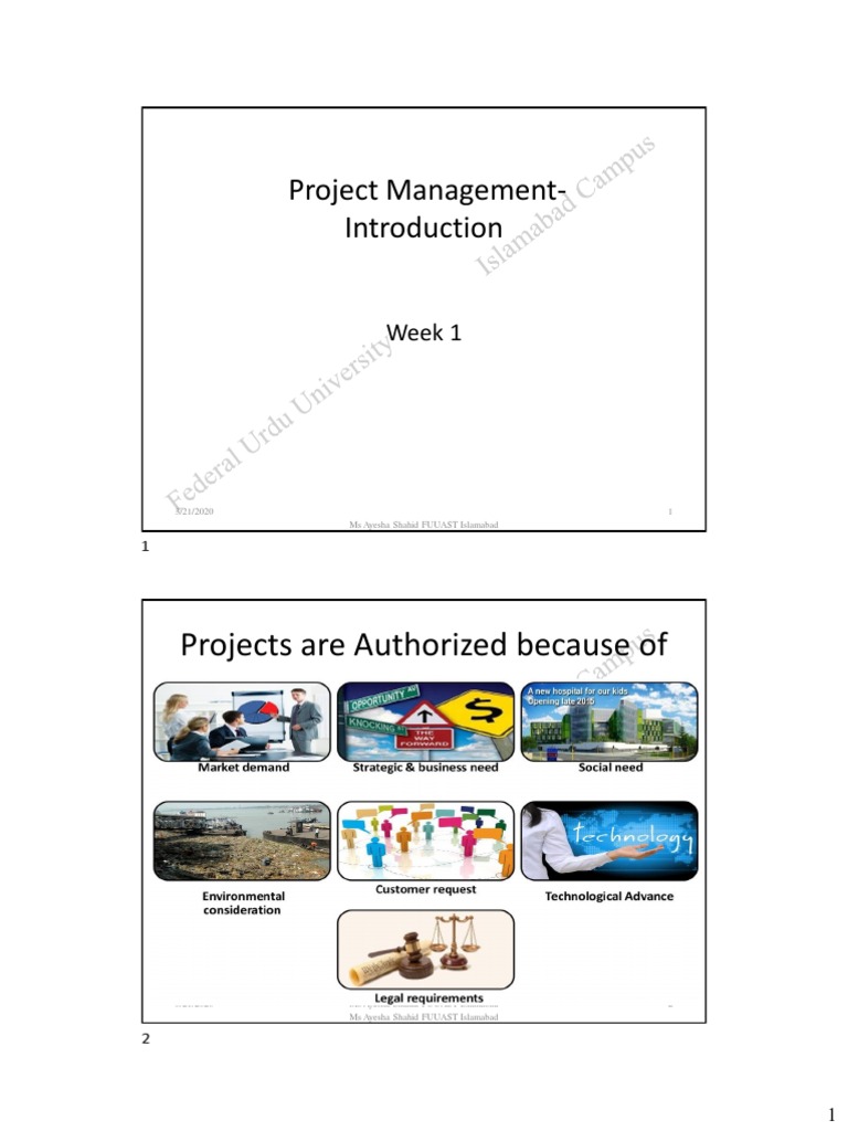 L# 1 - PM - Introduction | PDF | Project Management | Business