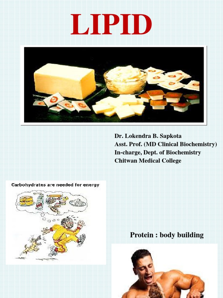Lipid PDF | PDF | Lipid | Lipoprotein