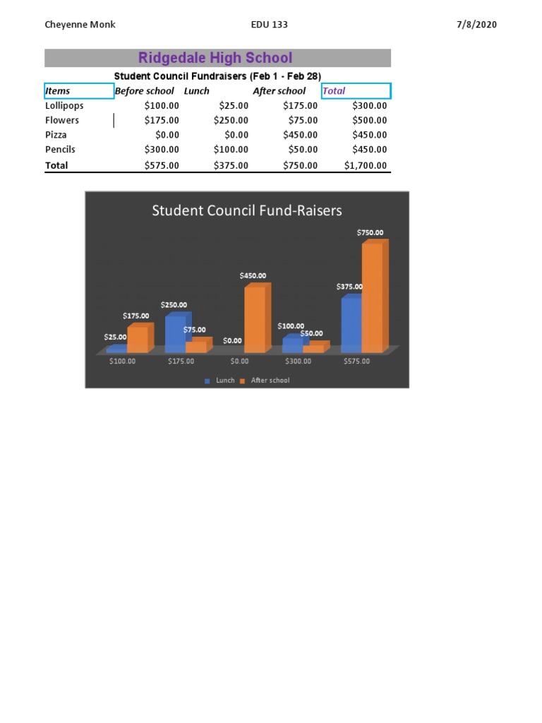 Student Council Fundraiser | PDF