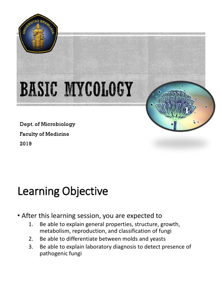 L10. Basic Mycology | PDF | Fungus | Mold