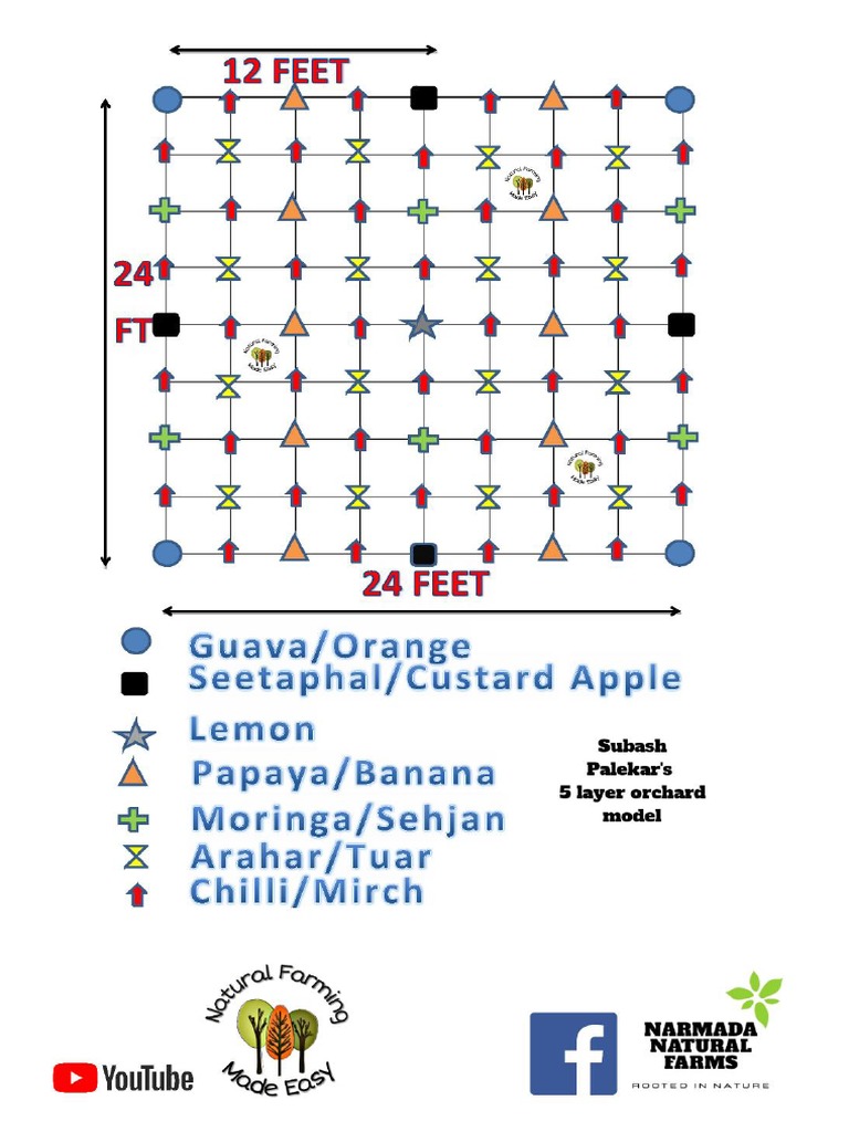Subhash Palekar's 5 Layer Orchard Model | PDF