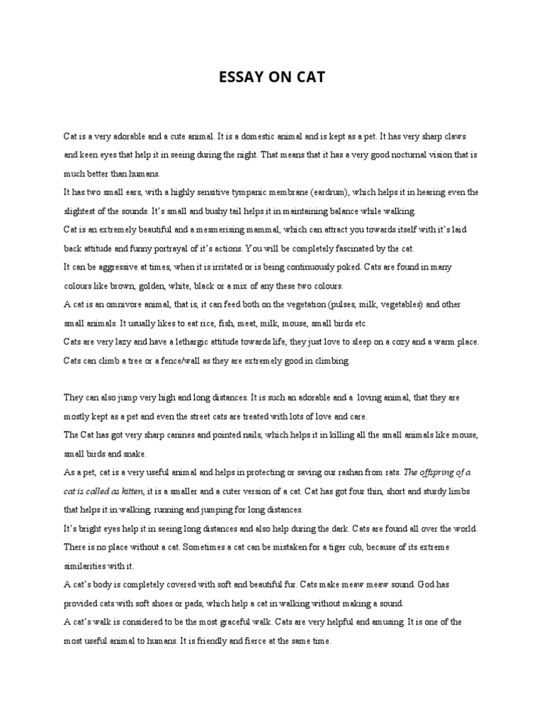 Essay On Cat | Download Free PDF | Mouse | Cats