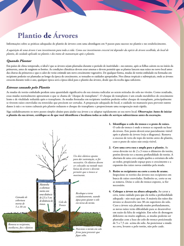 Plantio de Arvores PDF | PDF | Árvores | Raiz