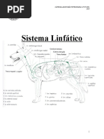 El Timo Animal | PDF