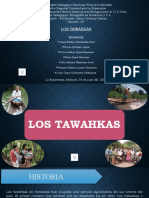 Informe de Los Tawahkas | PDF | Honduras | Agricultura