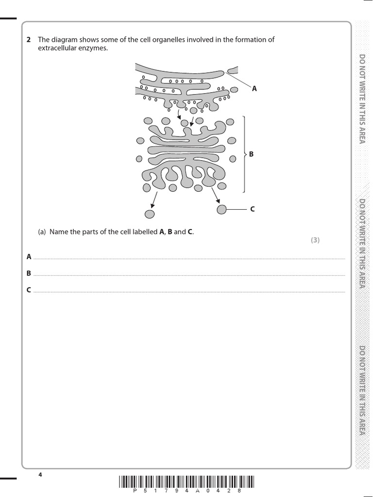 Extracellular Enzymes.: 2 The Diagram Shows Some of The Cell Organelles ...
