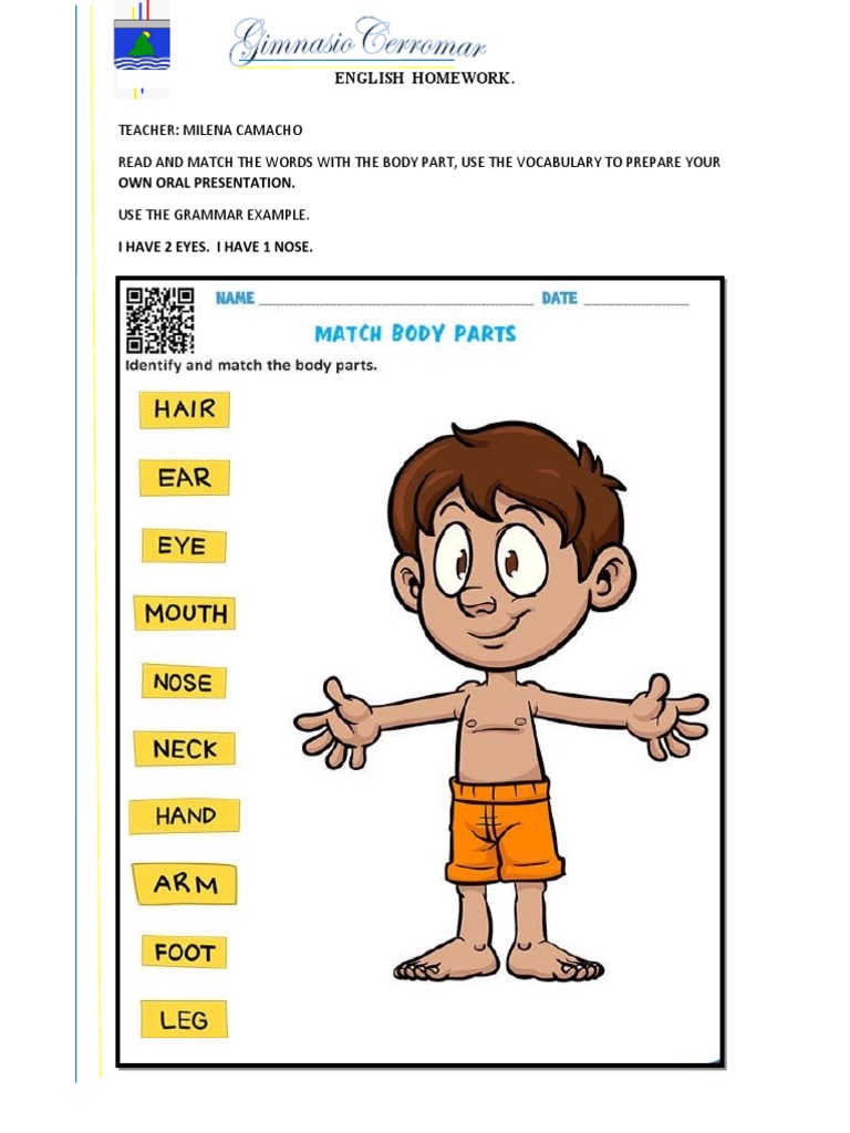 Teacher: Milena Camacho Read and Match The Words With The Body Part ...