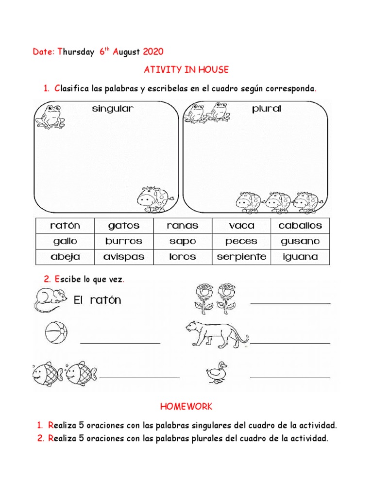 Singular y Plural Actividad | PDF