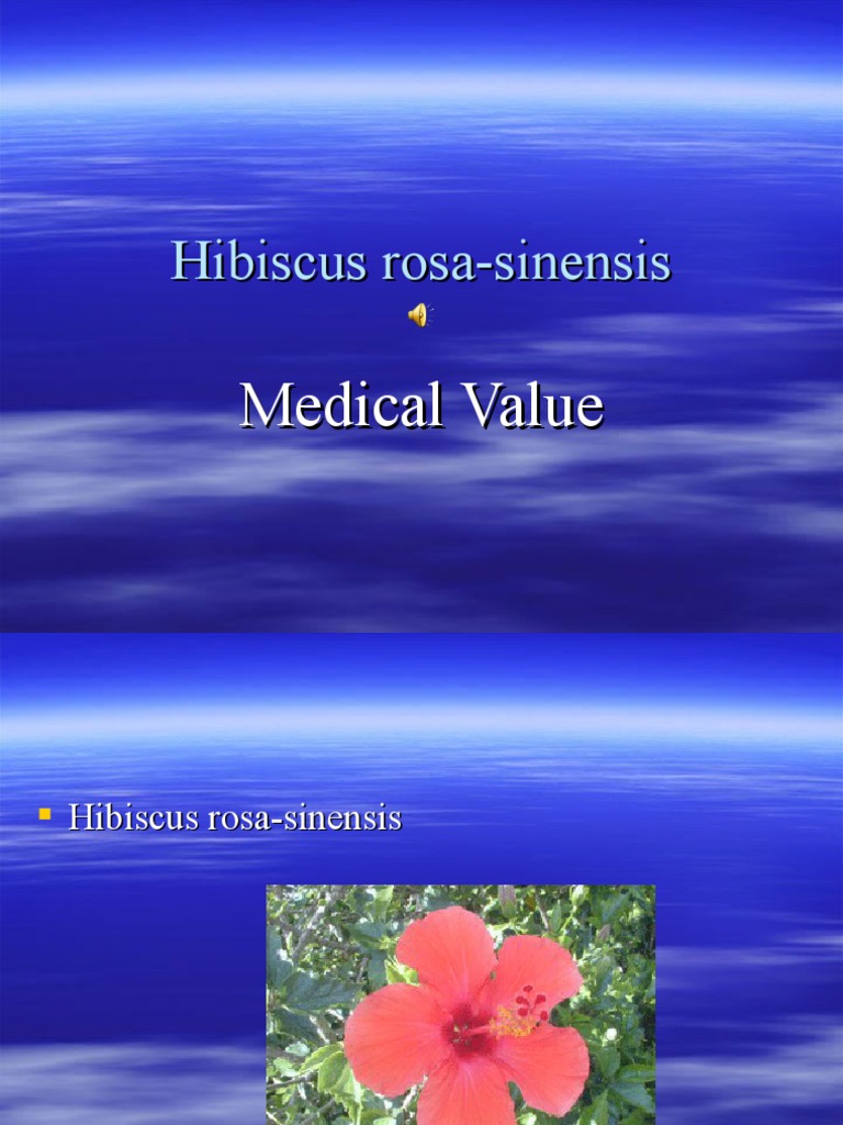 Hibiscus Rosa-Sinensis | PDF