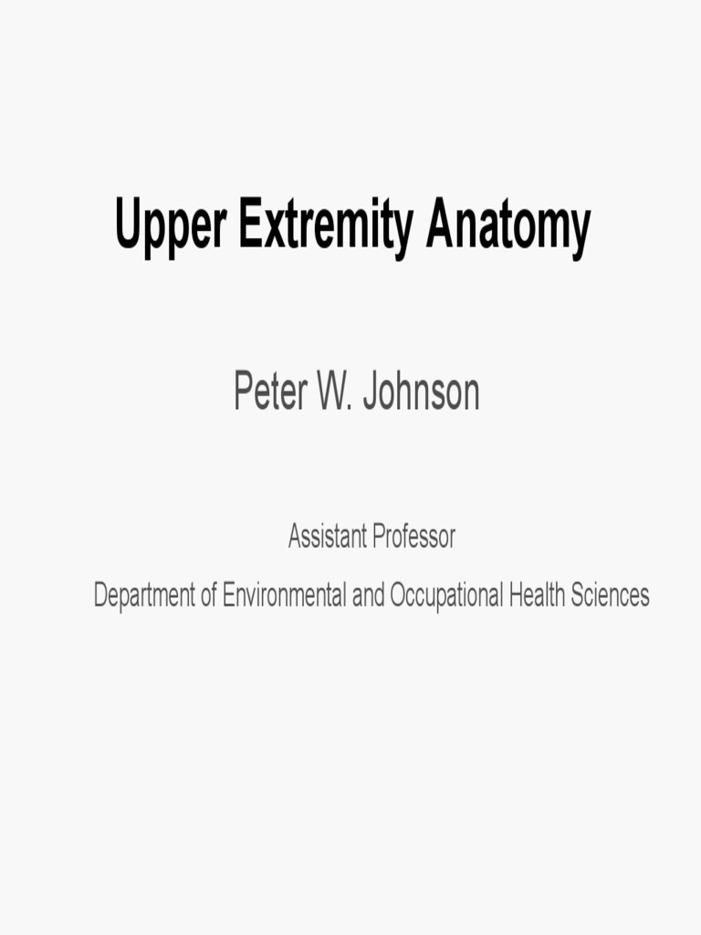 Upper Extremity Anatomy: Peter W. Johnson | PDF
