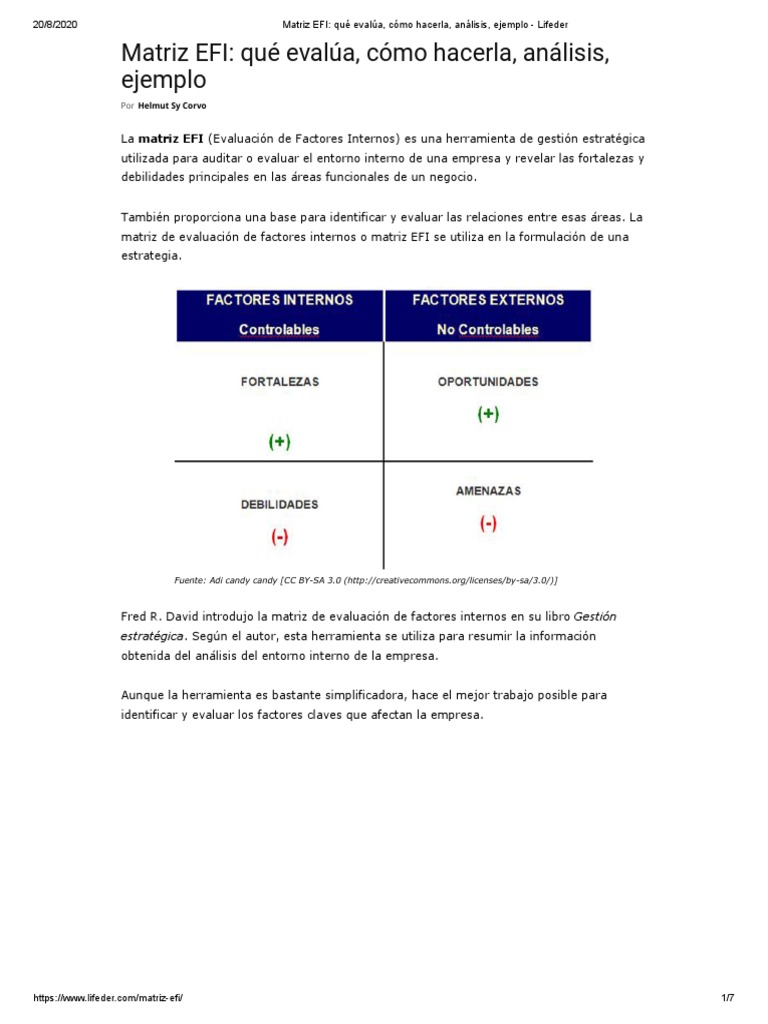 Matriz EFI - Qué Evalúa, Cómo Hacerla, Análisis, Ejemplo - Lifeder | PDF | Análisis FODA | Business
