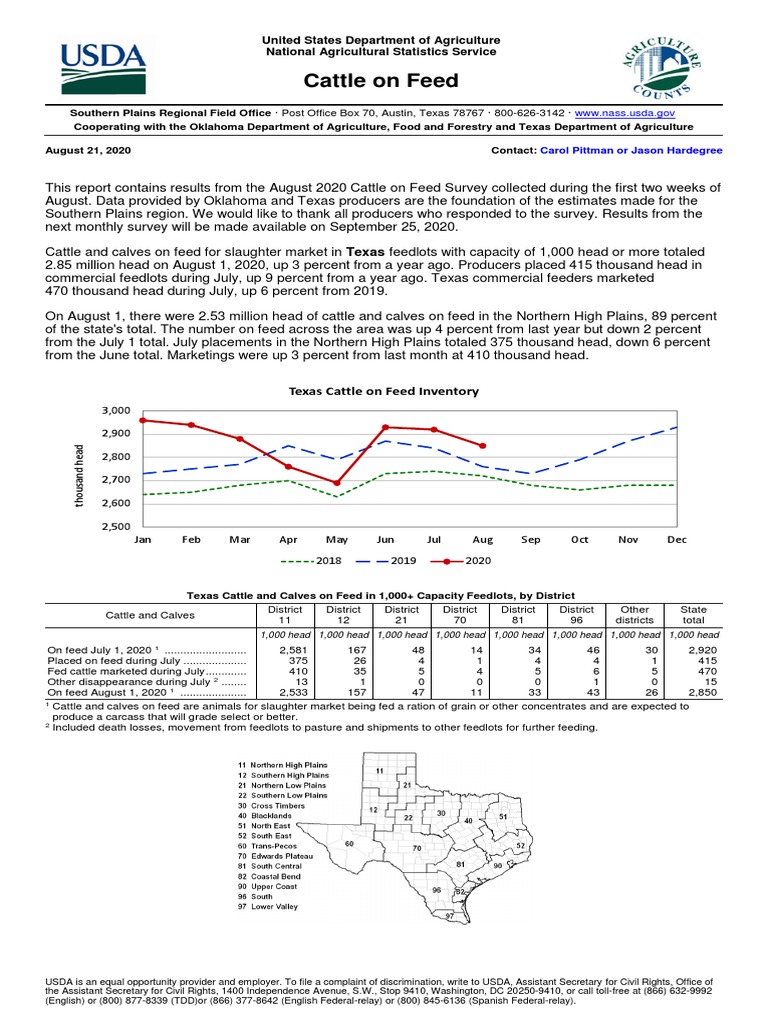 August 2020 Cattle on Feed Report | PDF | Cattle | Animals And Humans