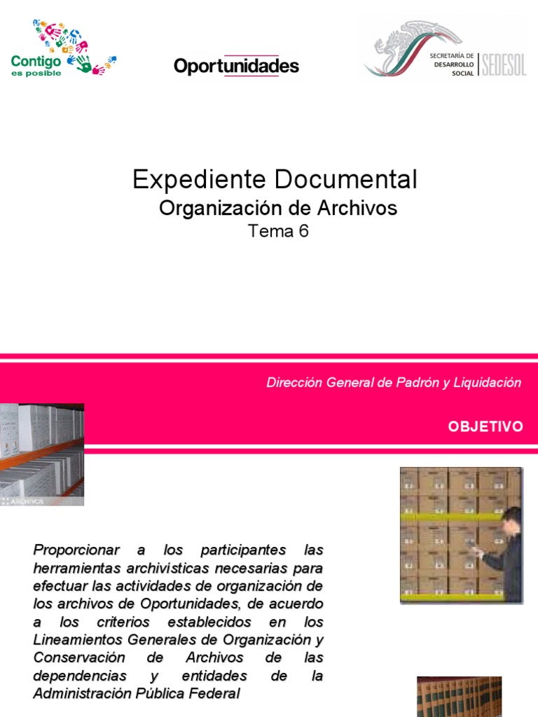 Expediente Documental CONCEPTOS | PDF | Business | Science