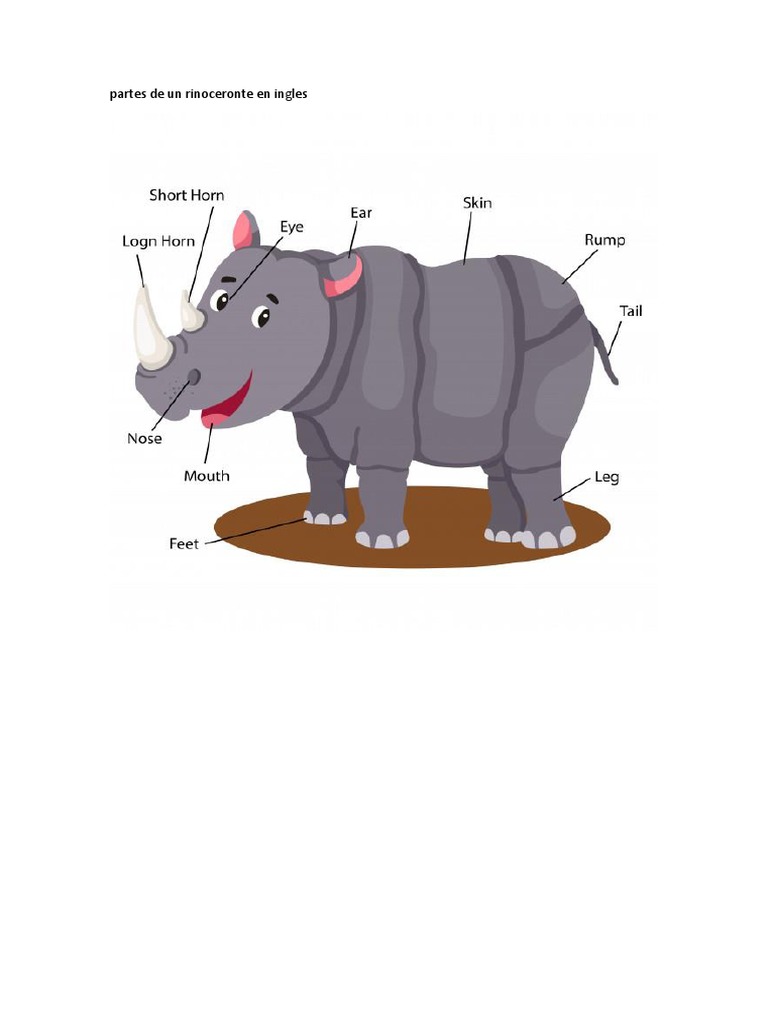 Partes de Un Rinoceronte en Ingles | PDF