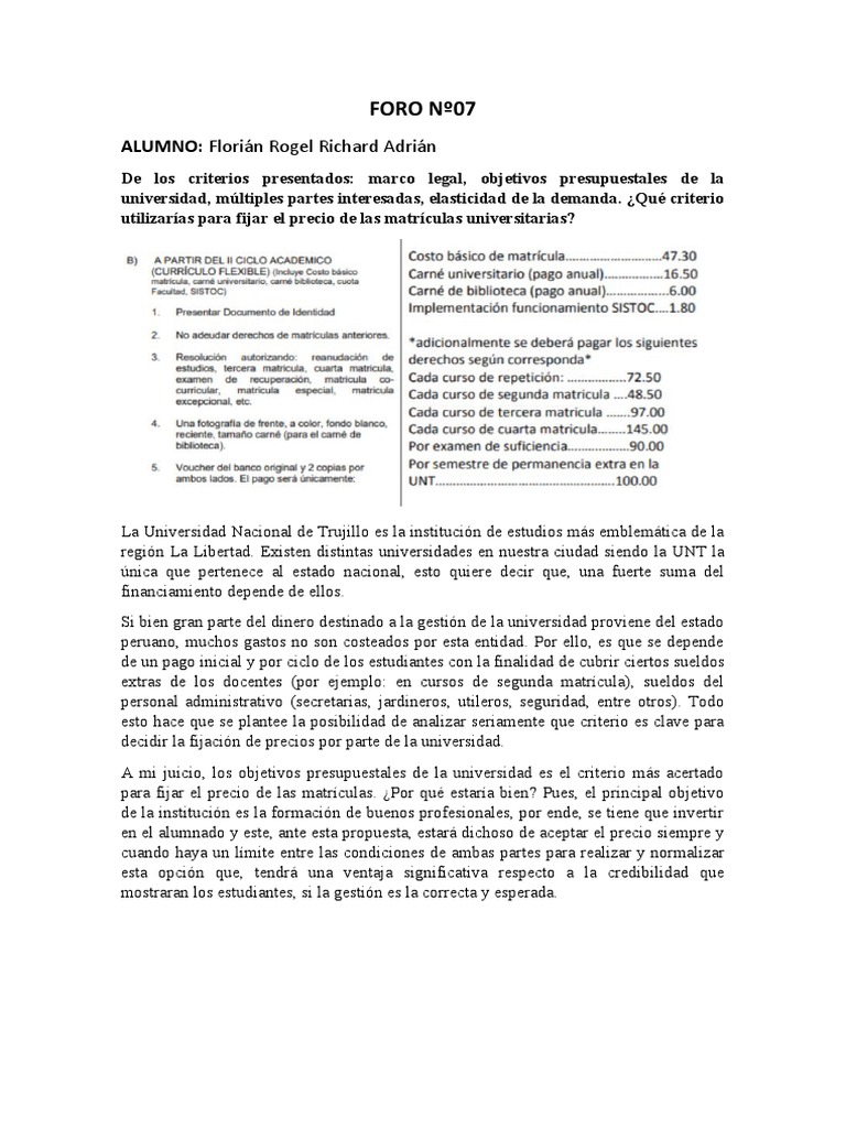 Foro Nº07 - Florian Rogel Richard | PDF