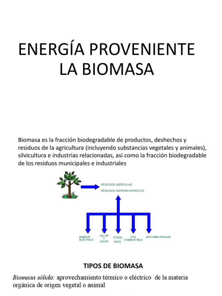 Exposicion de La Biomasa | PDF | Bioenergía | Recursos energéticos