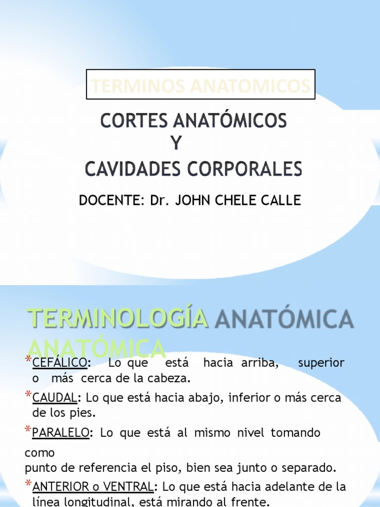 Terminos, Cavidades y Cortes Anatomicos | PDF | Términos anatómicos de ...