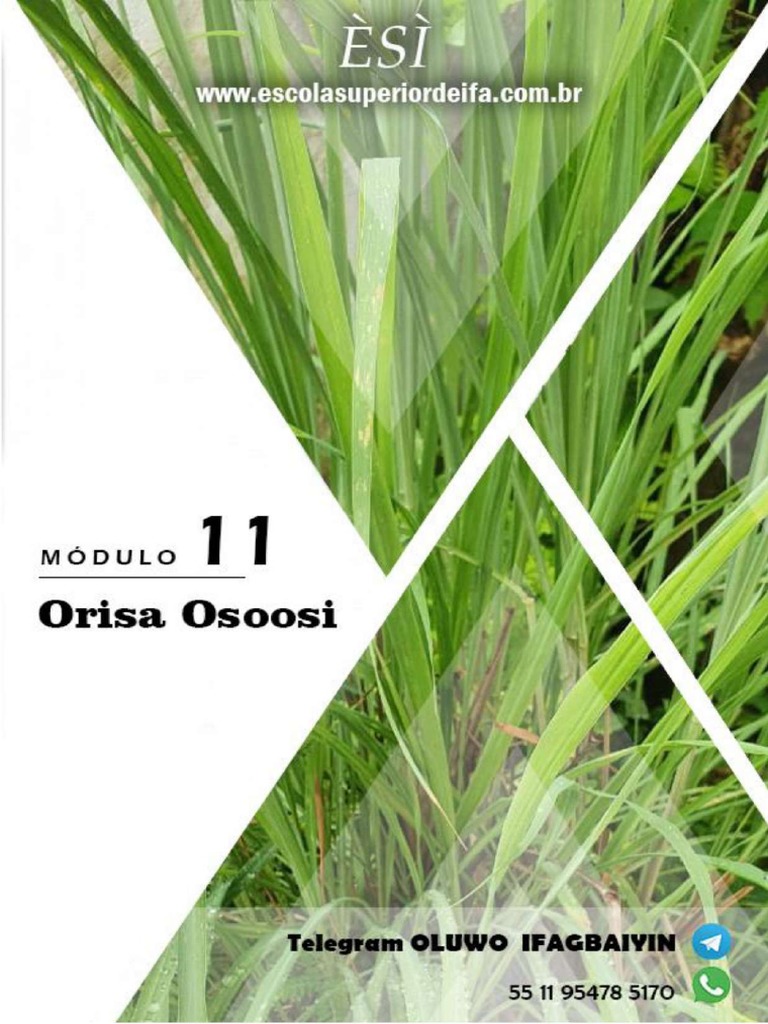 11módulo Orisa Osoosi | PDF
