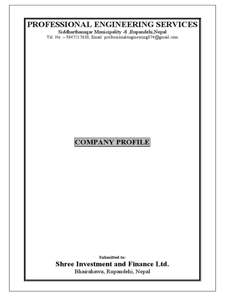 PROFESSIONAL Engineering Profile | PDF | Valuation (Finance) | Consultant