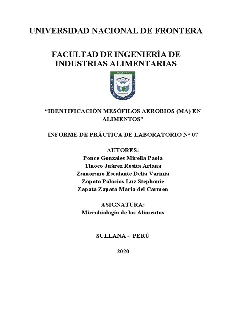 PRACTICA N°07 DETERMINACION DE MESOFILOS AEROBIOS Micro | PDF | Unidad ...