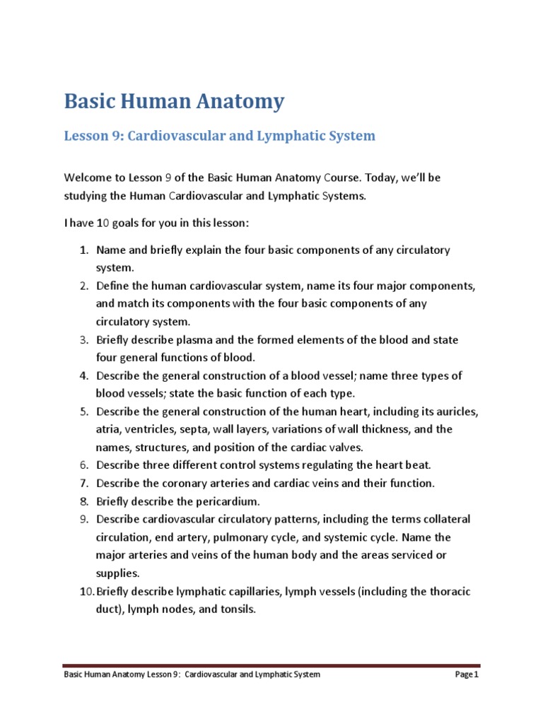 Cardiovascular System Lecture - Notes | PDF | Heart Valve | Circulatory ...