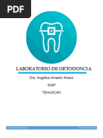 Técnica de Arco Segmentado Burstone | PDF | Diente | Odontología