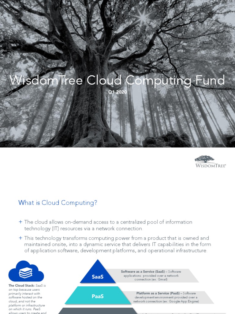 Wisdomtree Cloud Computing Fund | Download Free PDF | Stock Market Index | Cloud Computing