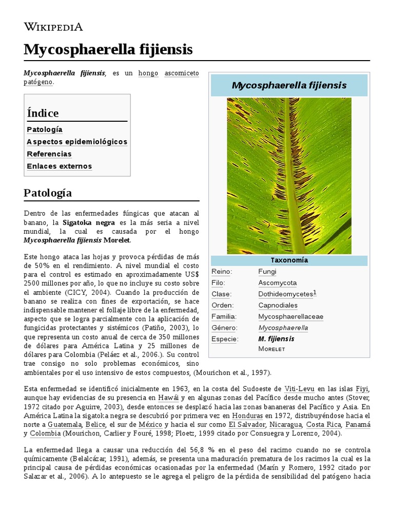 Mycosphaerella Fijiensis | PDF | Hongo | Biología