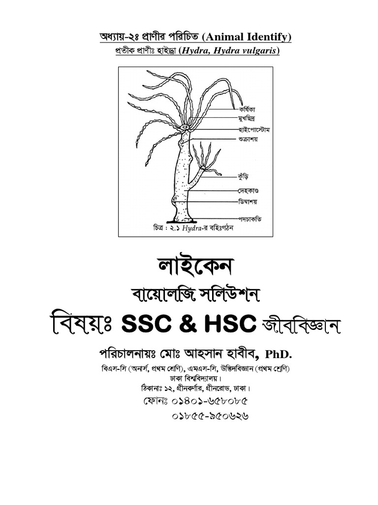 Hydra-Print | PDF | Biological Interactions | Anatomy