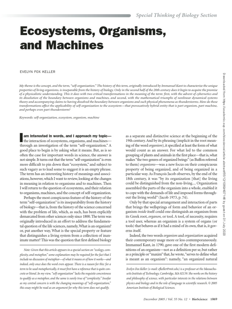 Texto Evelyn Fox Keller INGLES | PDF | Self Organization | System