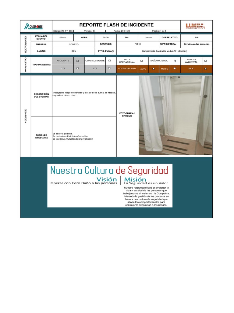 LOG 210 Reporte Flash Sodexo PDF | PDF