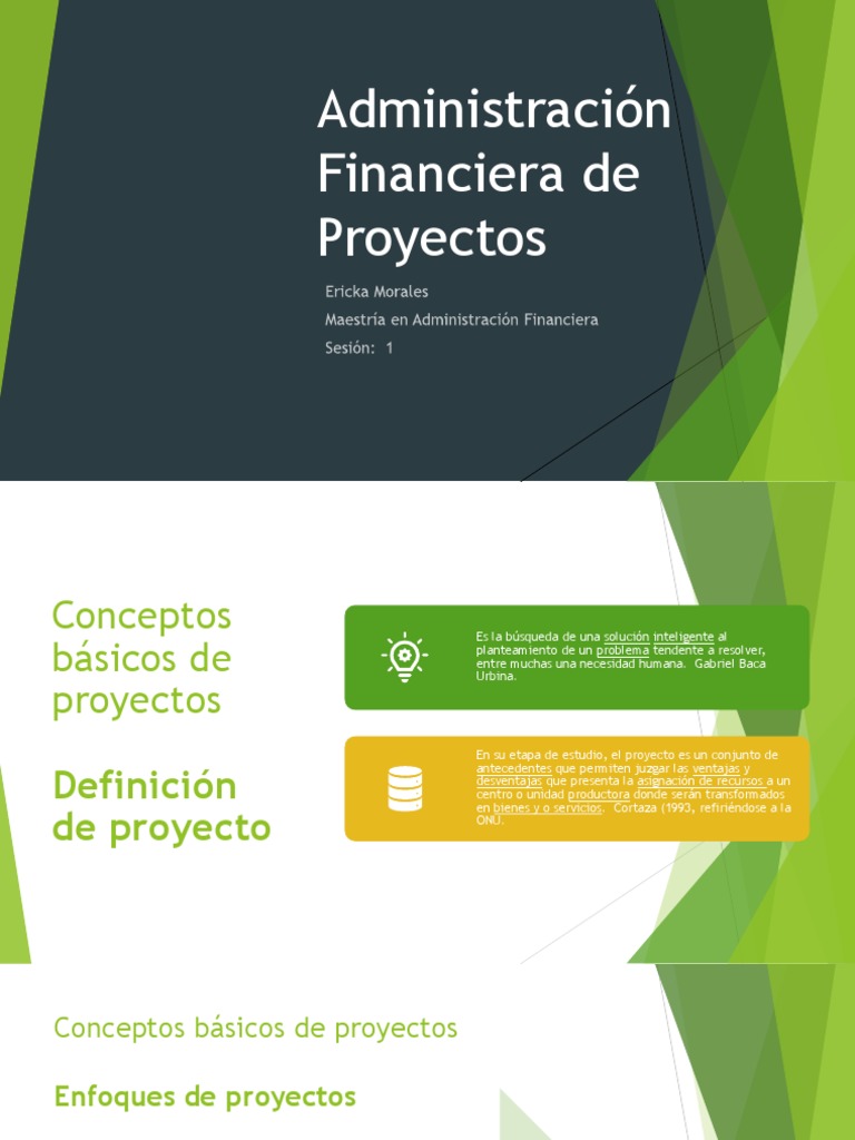 Presentación 1 - Conceptos Basicos de Proyectos | PDF | Inversiones | Sector terciario de la ...