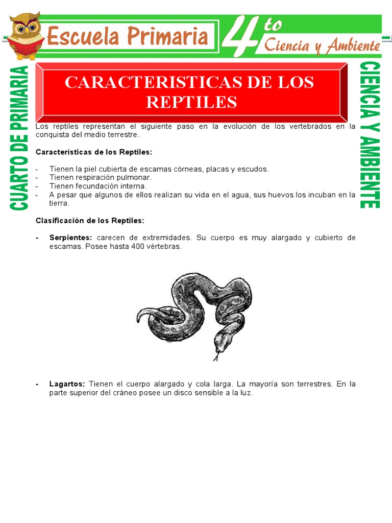 Caracteristicas de Los Reptiles para Cuarto de Primaria | PDF | Reptil ...