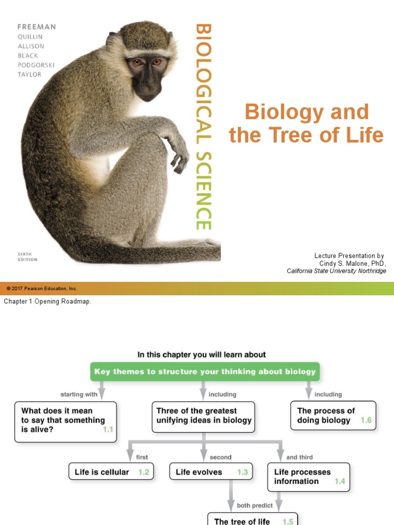 Biology and The Tree of Life: Lecture Presentation by Cindy S. Malone ...
