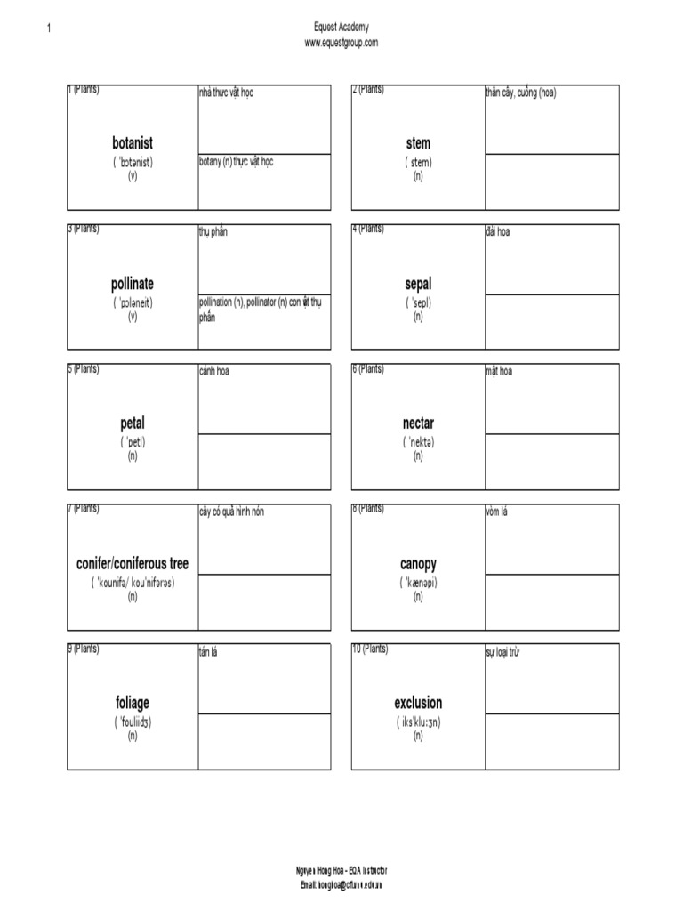 Flashcards Plants PDF | PDF
