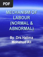Mechanism of Labour | PDF | Pelvis | Anatomical Terms Of Motion