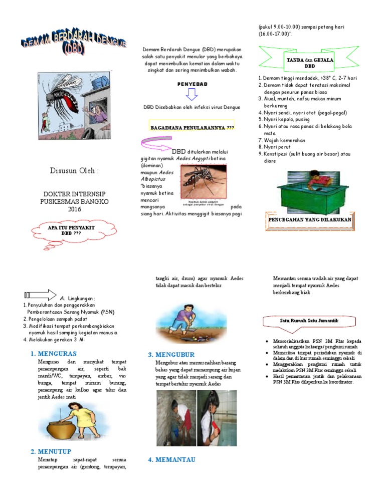 Contoh Leaflet PSN | PDF