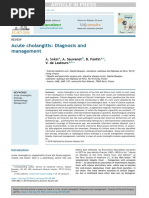 Tokyo Guidelines 2018 Initial Management of Acute | PDF | Gallbladder ...