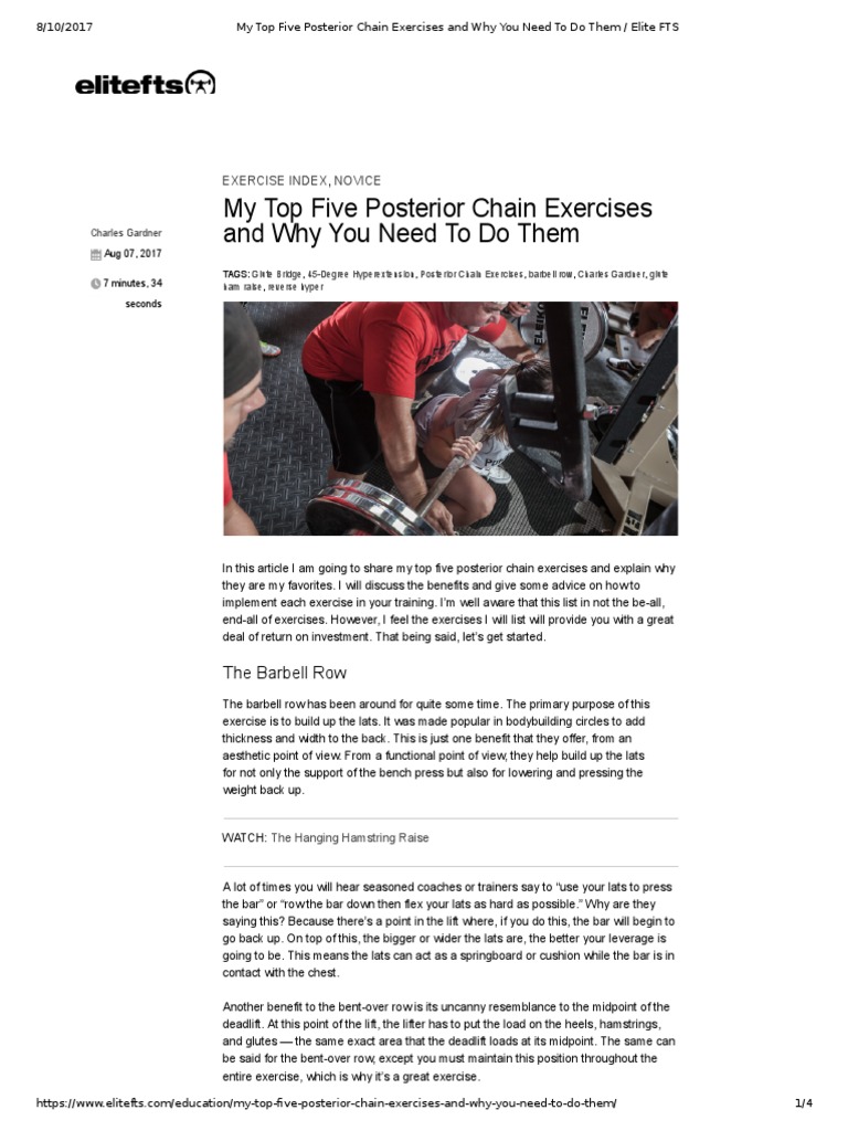 Top 5 Posterior Chain Exercises | PDF | Physical Exercise | Recreation