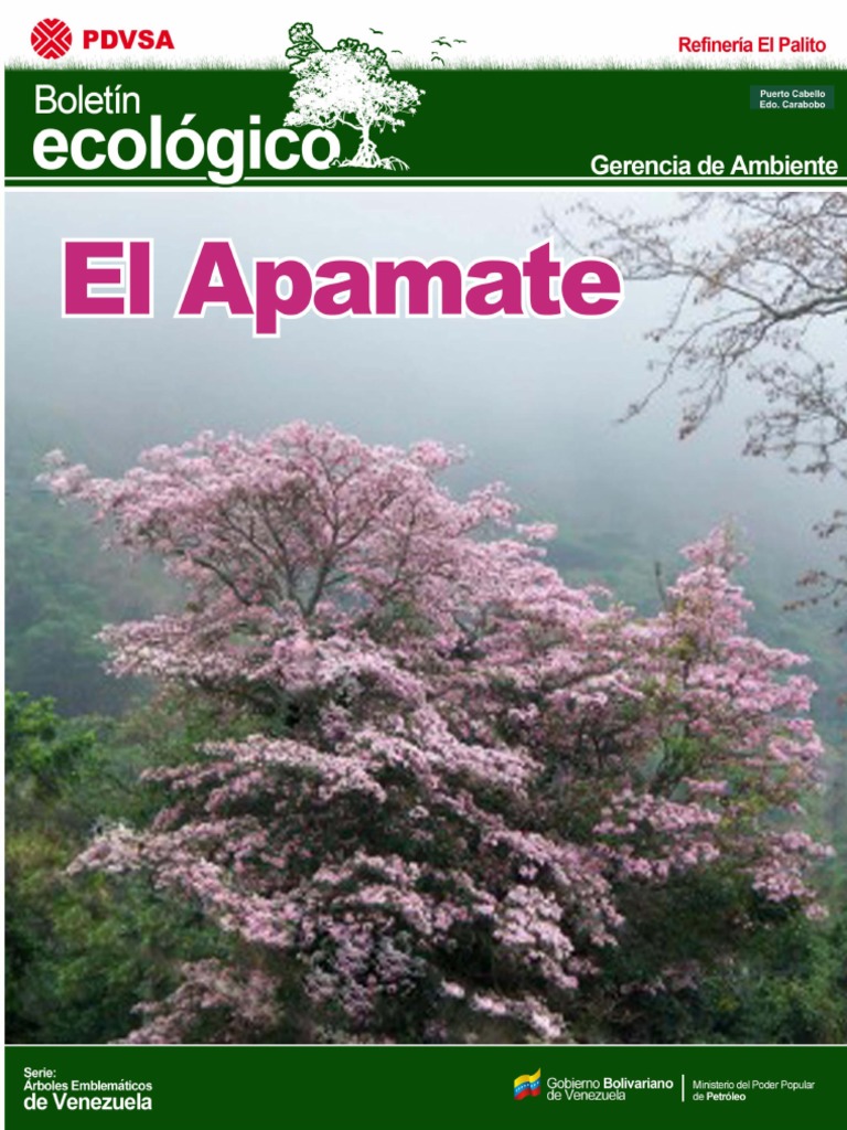 El Apamate | PDF