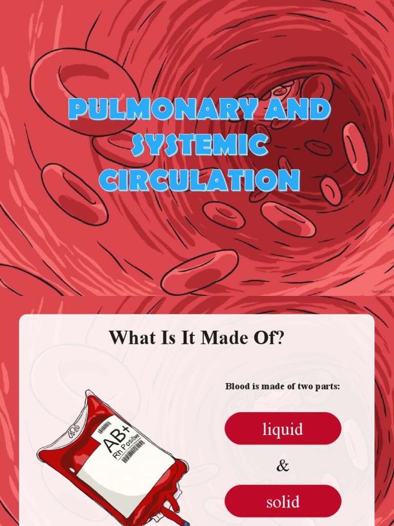 Systemic and Pulmonary Circulation | PDF | Circulatory System | Blood